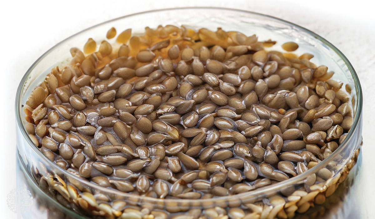 Rise And Shine: Accounting For Seed Dormancy And How To Spark ...