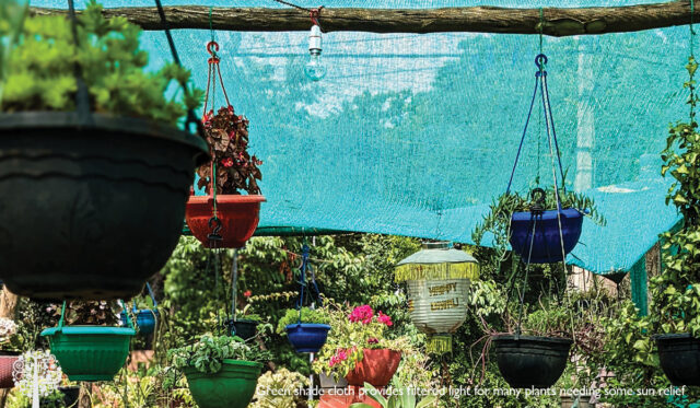 Crop Shading: Using Shade Cloths for Veggie Gardens | GCM