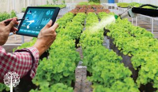 Smart Gardening: Bringing Technology Into The Garden | Garden Culture Magazine