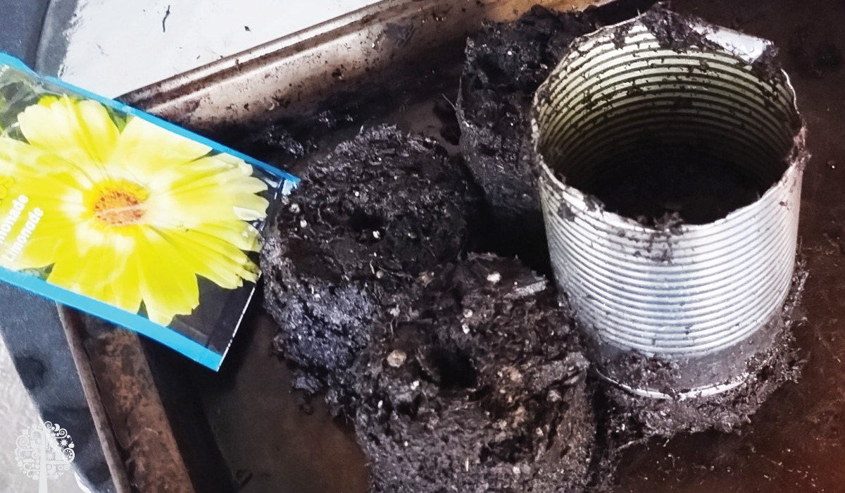 Soil Blocks: Starting Seeds Is Easy and Plastic-Free | GCM