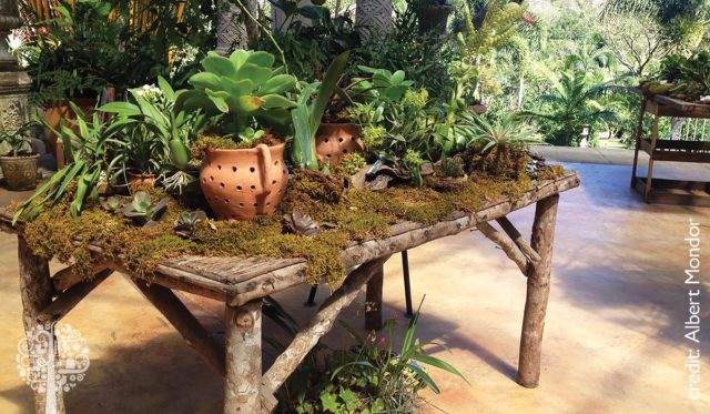 Making Urban Agriculture More Accessible With Table Gardens | Garden ...