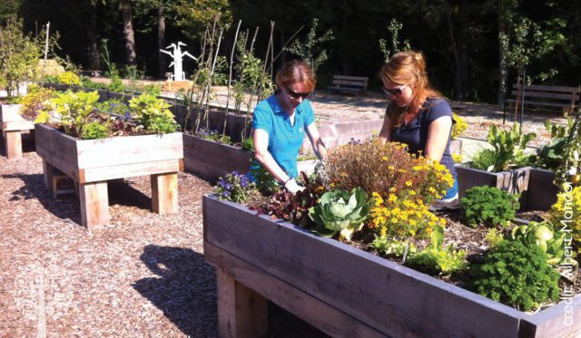 Making Urban Agriculture More Accessible With Table Gardens | Garden ...