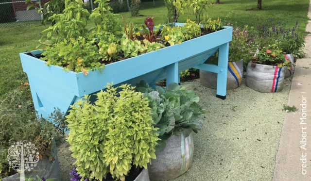 Making Urban Agriculture More Accessible With Table Gardens | Garden ...