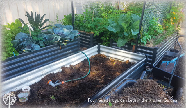 Terrace Gardening: An Easy Guide | Garden Culture Magazine