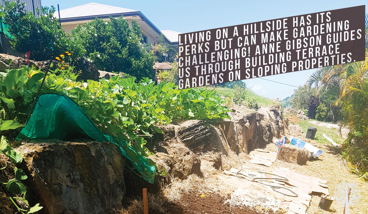 Terrace Gardening: An Easy Guide | Garden Culture Magazine