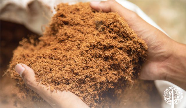 Coco Coir A Sustainable And Eco-Friendly Choice For Growers | Garden ...