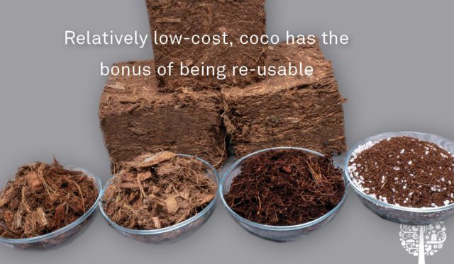 Coco Coir A Sustainable And Eco-Friendly Choice For Growers | Garden ...