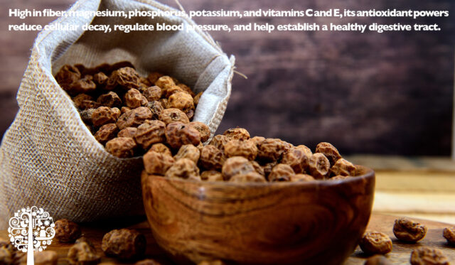 Tiger Nuts: Grow Your Own | Garden Culture Magazine