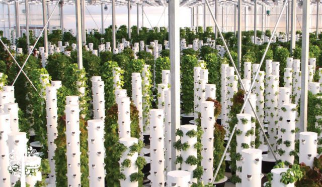 Tower Farming Technology Doing A World of Good | Garden Culture Magazine