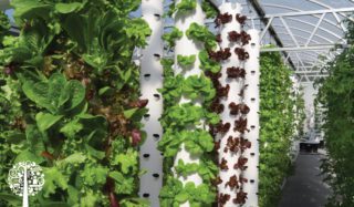 Tower Farming Technology Doing A World of Good | Garden Culture Magazine