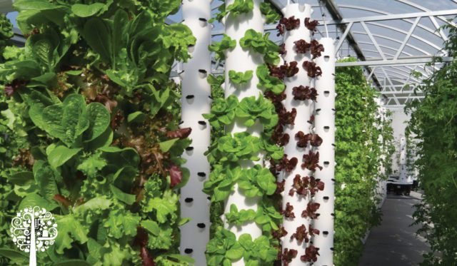 Tower Farming Technology Doing A World of Good | Garden Culture Magazine