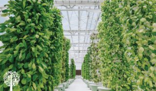 Tower Farming Technology Doing A World of Good | Garden Culture Magazine