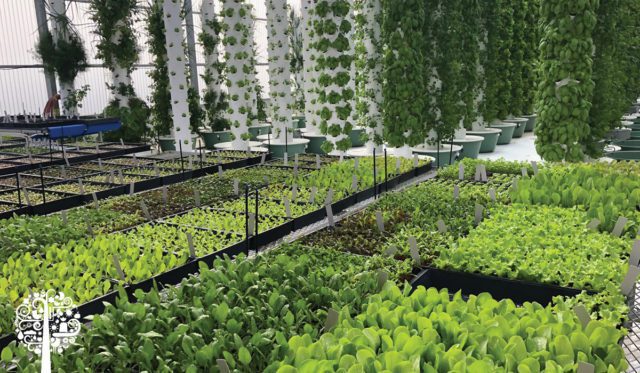 Tower Farming Technology Doing A World of Good | Garden Culture Magazine