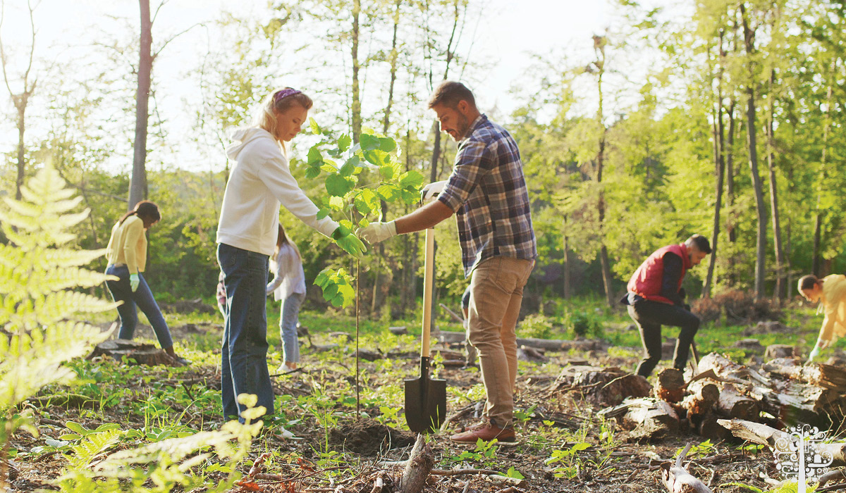 Plant Some Wonderful Trees | GCM
