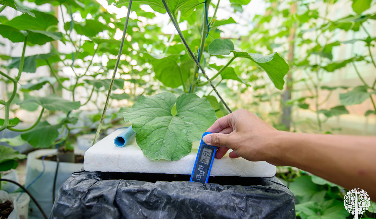 A Guide To Water Quality And Hydroponic Success – Nature's Gateway