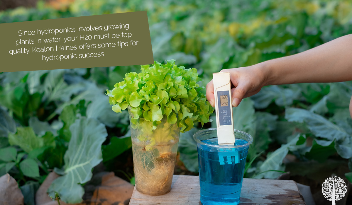A Guide To Water Quality And Hydroponic Success | GCM