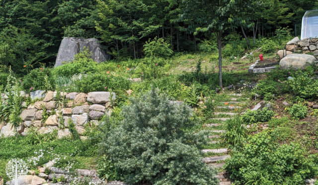 Food Forest in the Laurentian Mountains: Wild Orchard Gardens | GCM