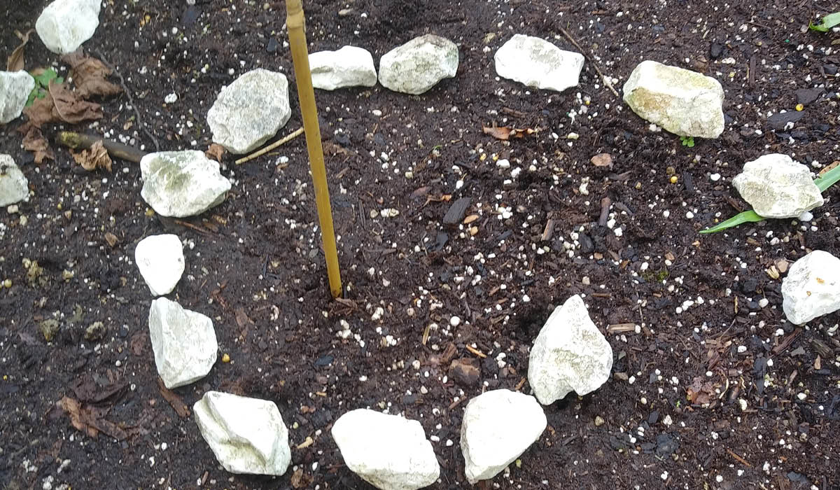 Growing Herbs In A Spiral Guided By The Sun | Garden Culture Magazine