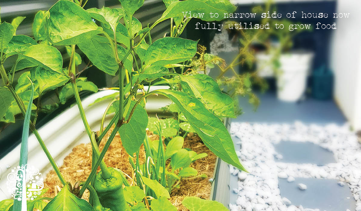 Tight On Space? Try These Small Food Garden Solutions | Garden Culture ...