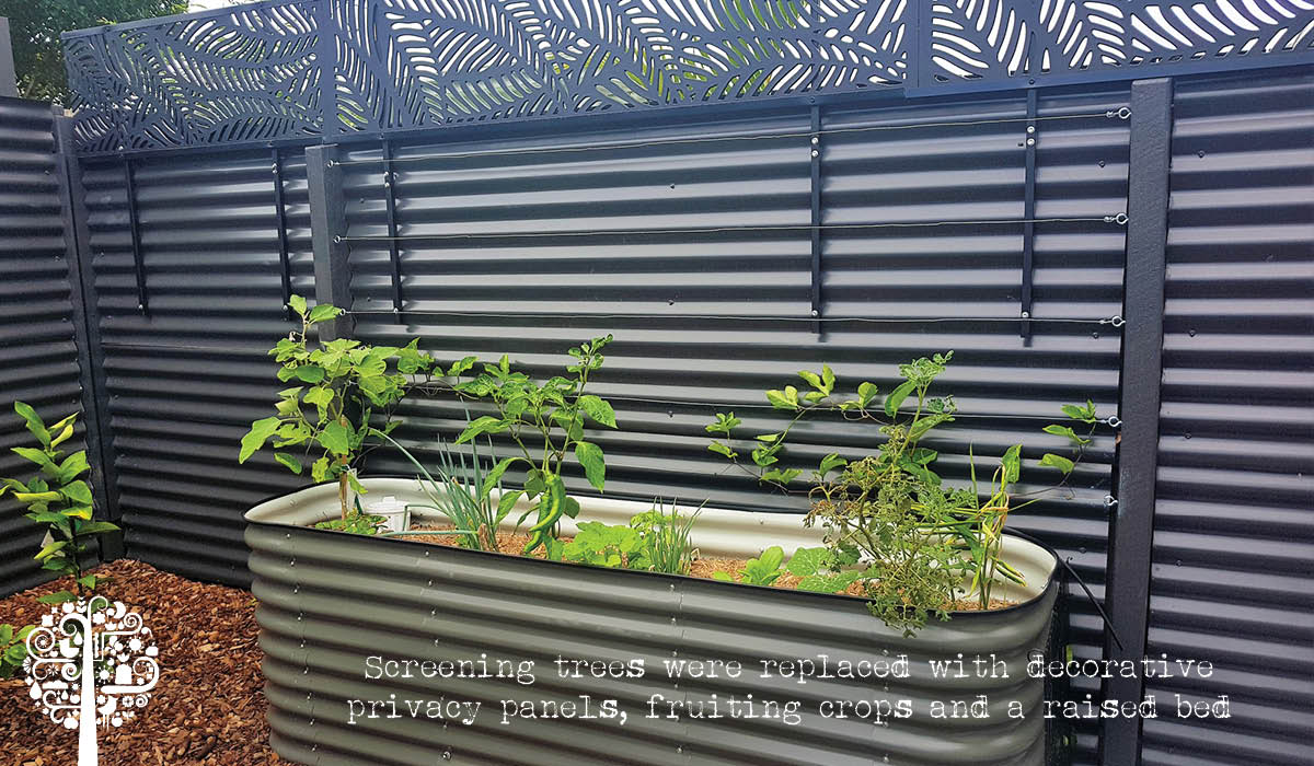 Tight On Space? Try These Small Food Garden Solutions | Garden Culture ...