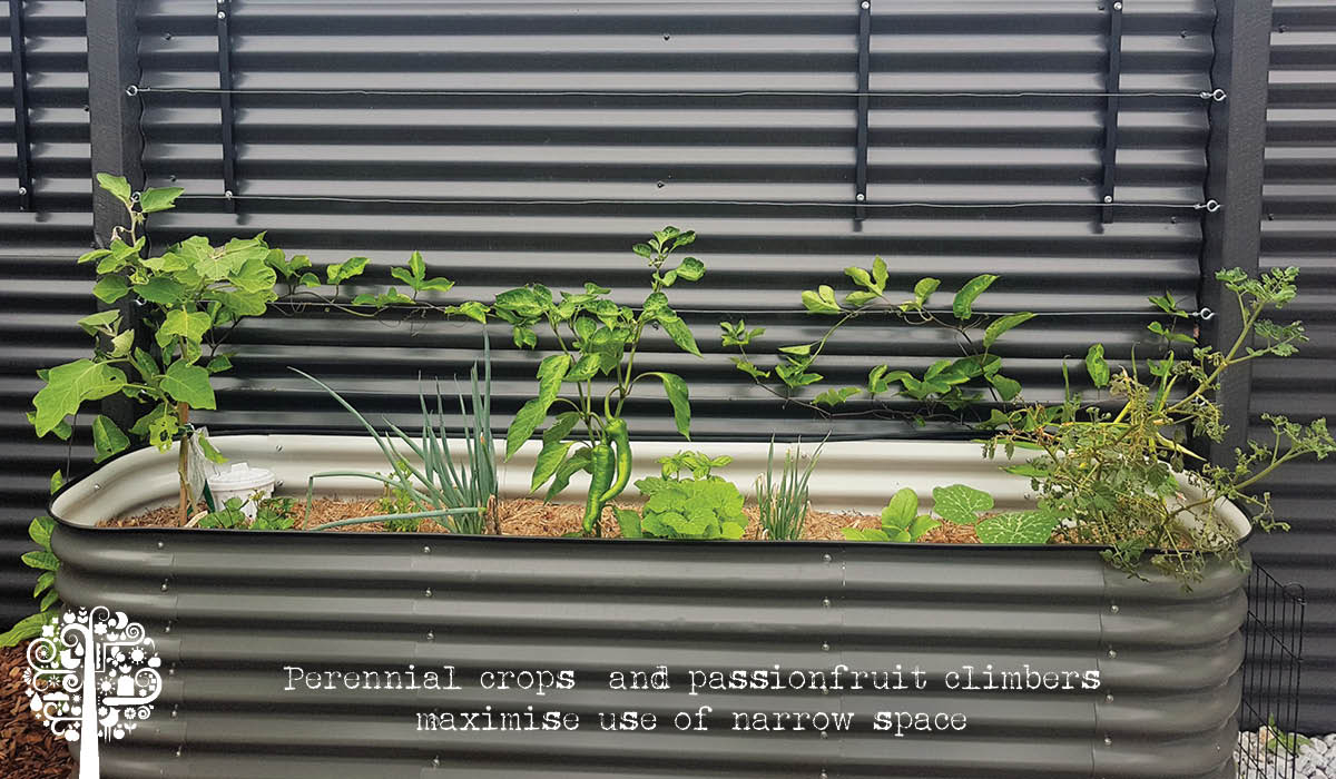 Tight On Space? Try These Small Food Garden Solutions | Garden Culture ...