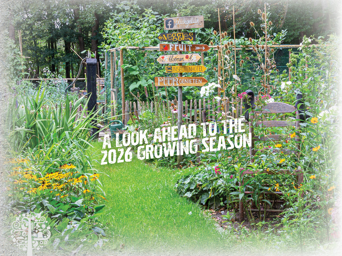 A Look Ahead To The 2026 Garden Trends Gcm
