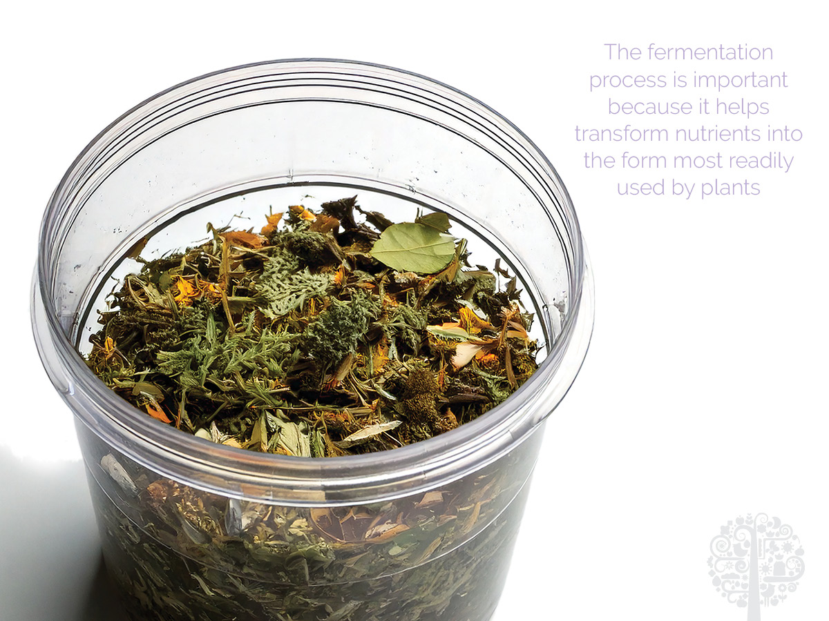 Getting Witchy with It: Making Botanical Brews for Garden Fertility | GCM