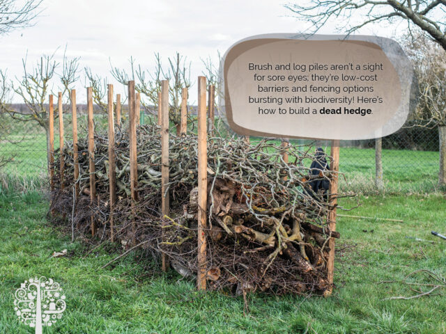 Leave the Logs! Building a ‘Dead Hedge’ Boosts Biodiversity – Nature's ...