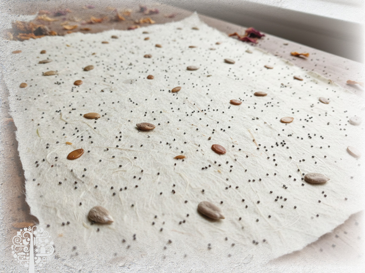 An Eco-Friendly Holiday: DIY Garden Seed Wrapping Paper