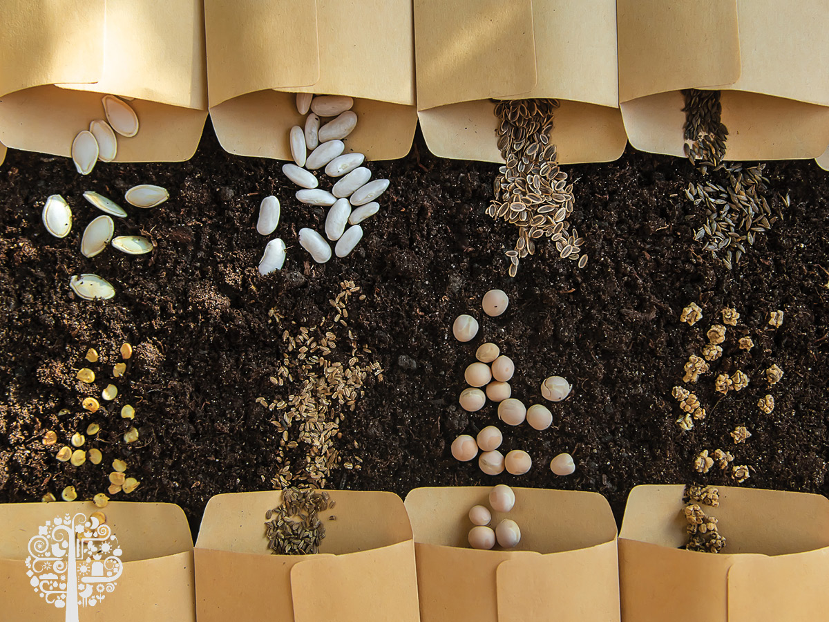 Every Community Needs a Garden Club! Here’s How to Start One | GCM