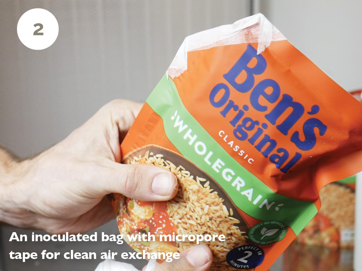 How to Grow Mushrooms on Microwave Rice | Garden Culture Magazine