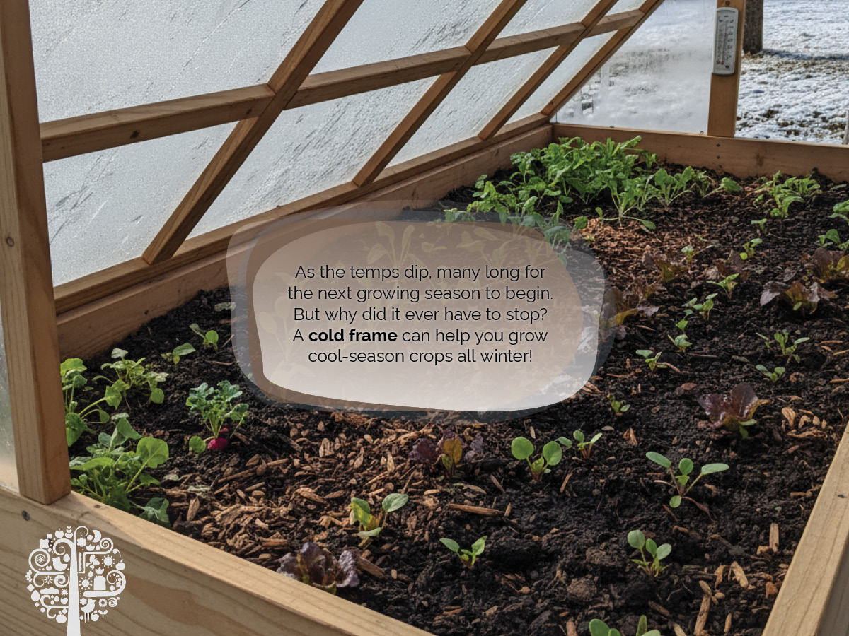 How to use a Cold Frame for Cool-Season Growing | GCM