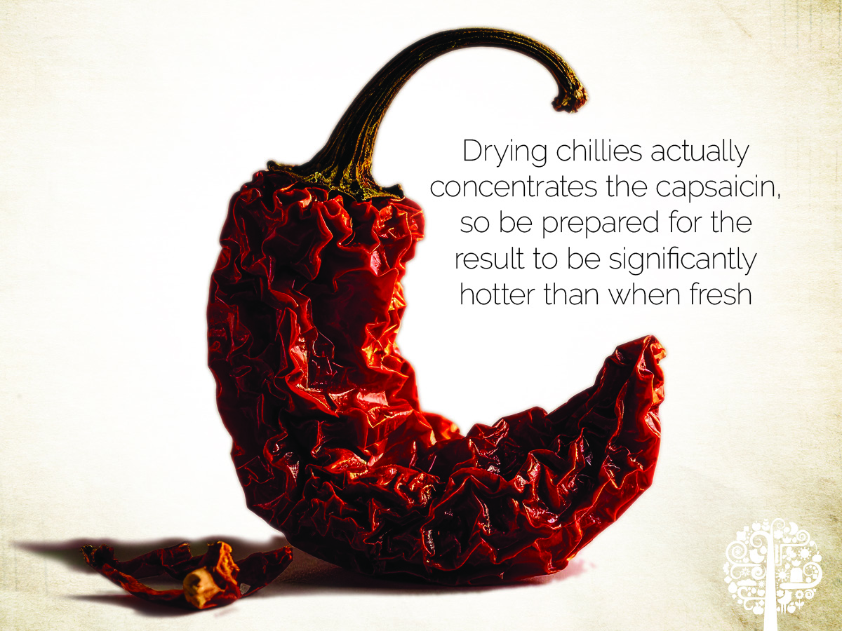 A Spicy Survival Guide to Preserving Chilies | GCM