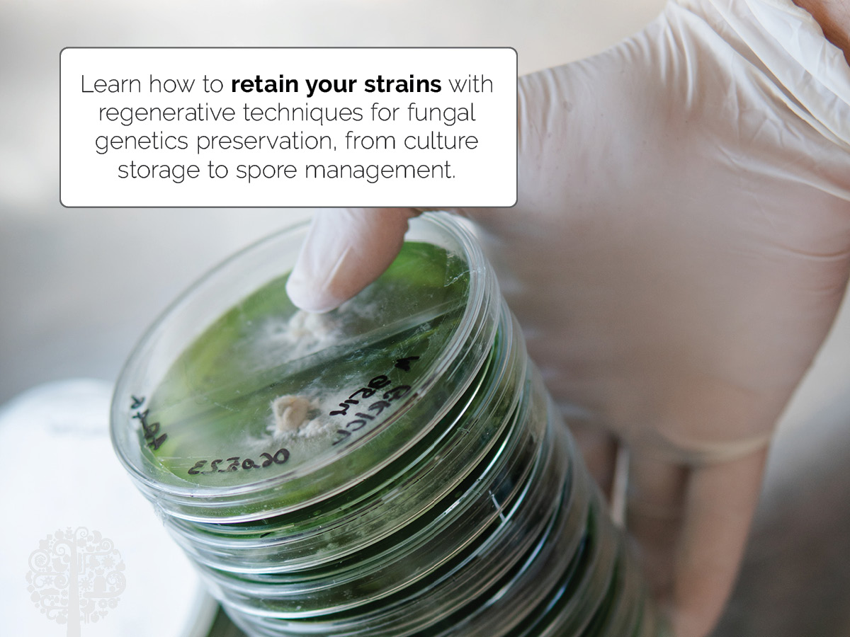 Fungal Genetics Preservation Made Simple – Nature's Gateway