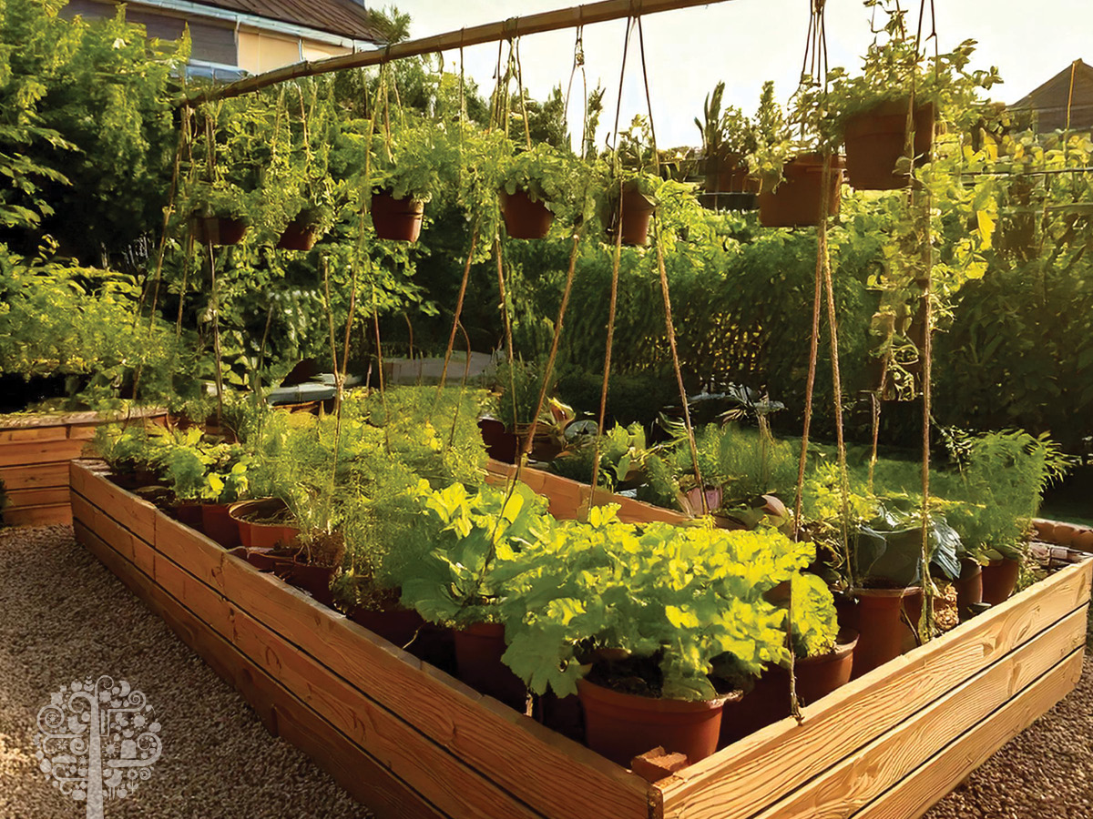 Garden Planning: A Guide To Good Seed Selection | GCM