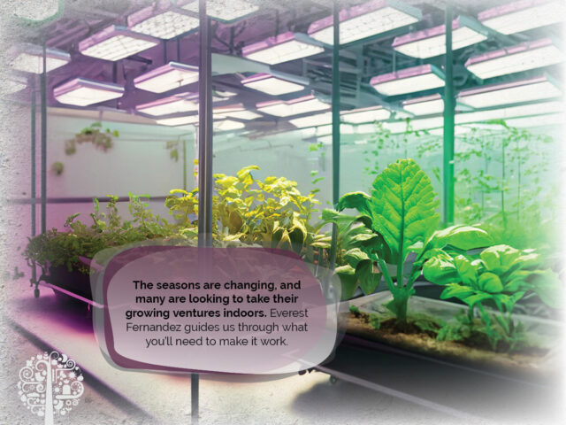 A Guide to Selecting and Indoor Growing Space | GCM