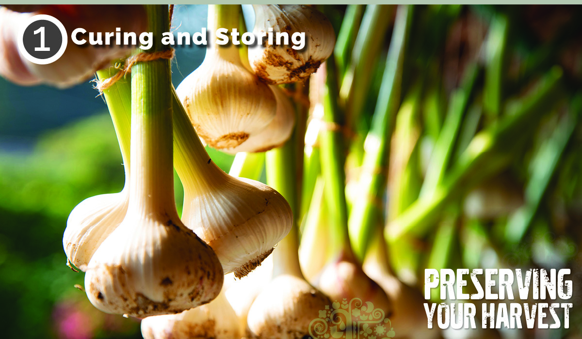 5 Cool Ways to Preserve Your Harvest | GCM