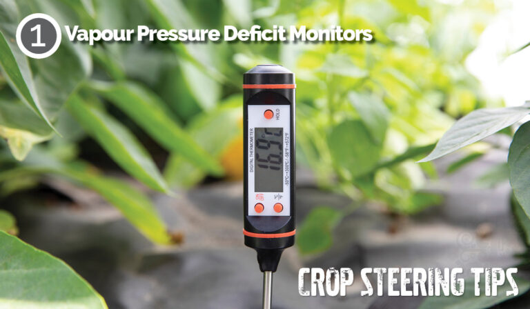 5 Cool Ways to Master Crop Steering | GCM