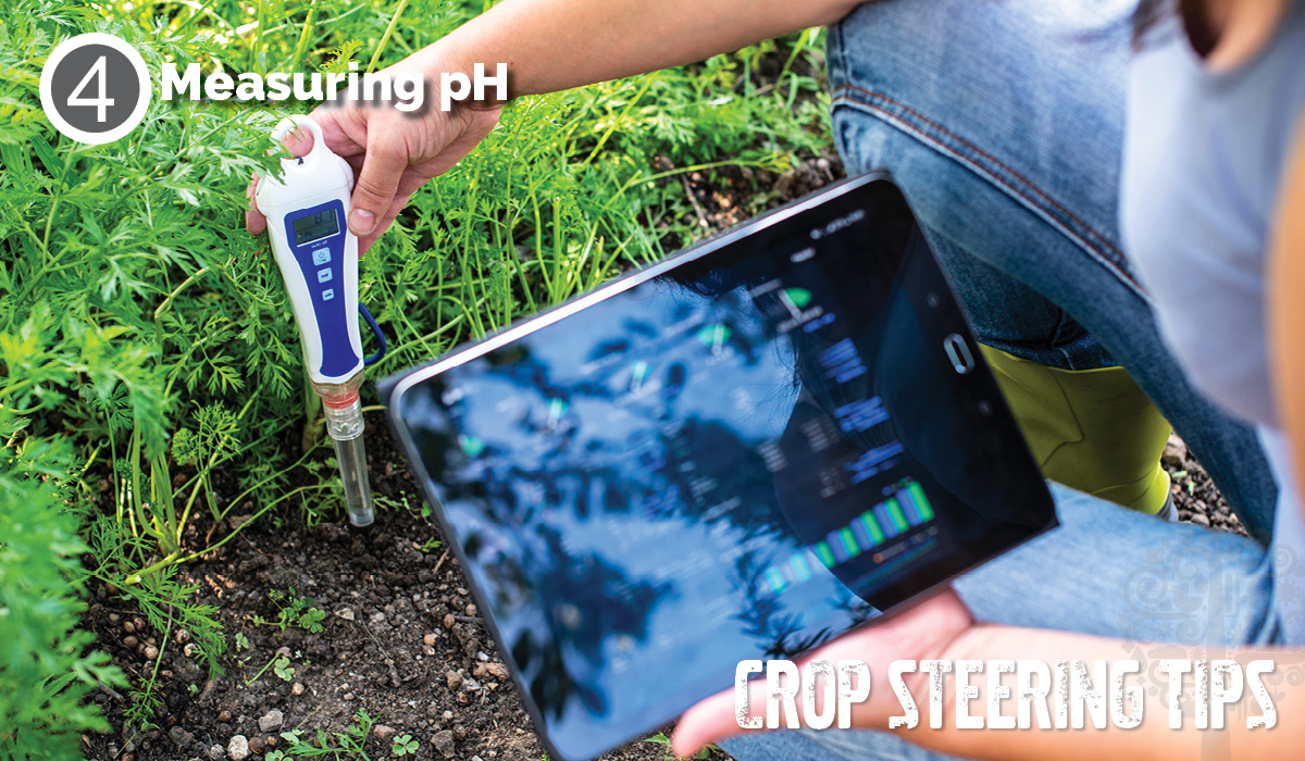5 Cool Ways to Master Crop Steering | GCM