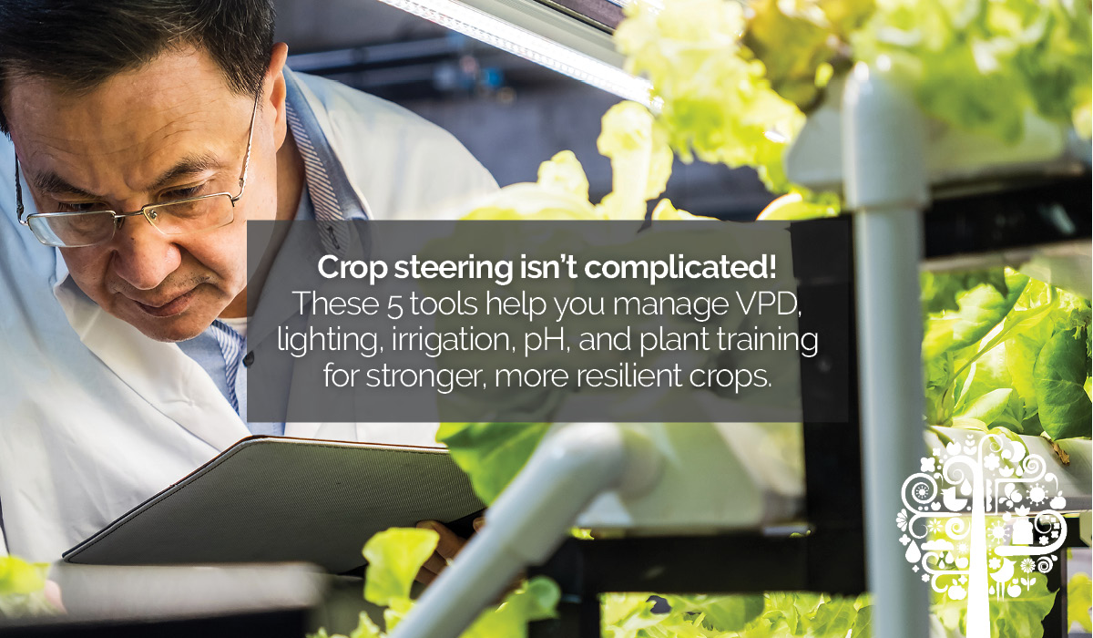 5 Cool Ways to Master Crop Steering | GCM