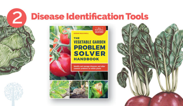 5 Ways to Identify, Prevent & Solve Growing Problems | GCG