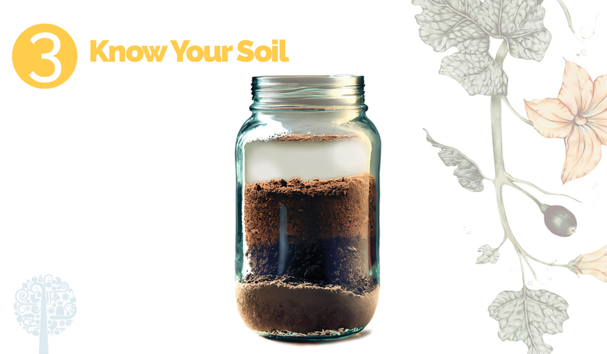 5 Ways to Identify, Prevent & Solve Growing Problems | GCG