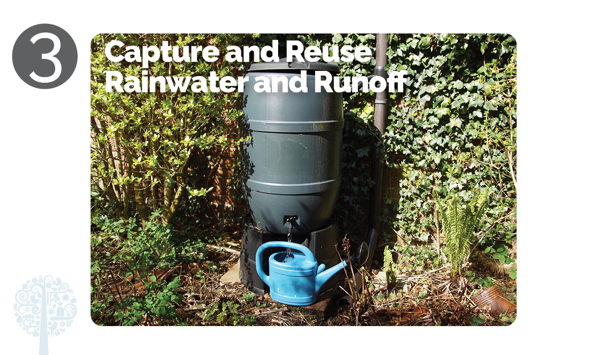 5 Cool Ways To Maximize Water In The Garden | GCM