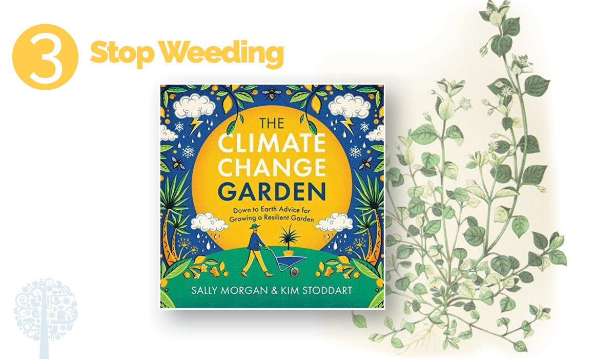 A Guide To Creating A Regenerative, Sustainable Garden Space – Nature's ...