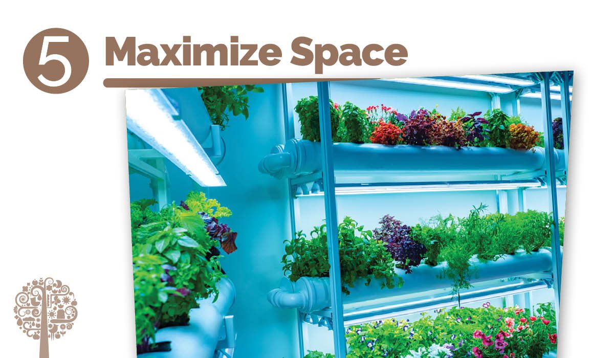 5 Cool Ways To Boost Productivity In Small Grow Rooms – Nature's Gateway
