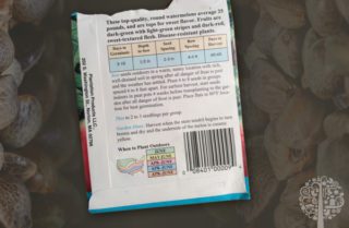 How To Read A Seed Packet For A Thriving Garden | Garden Culture Magazine