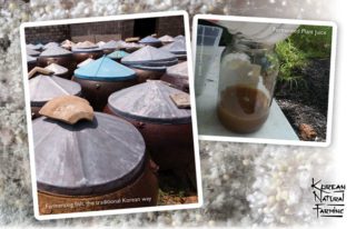 A Guide To Korean Natural Farming | Garden Culture Magazine