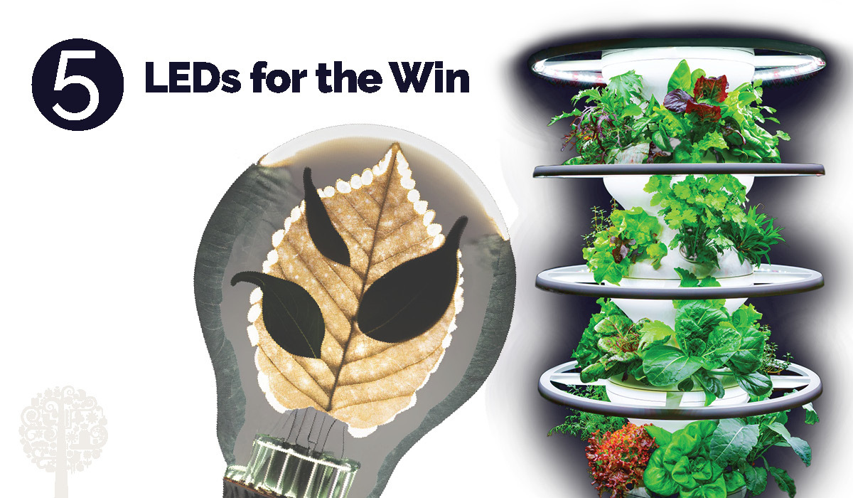 How To Light Up Your Indoor Growing Space – Nature's Gateway