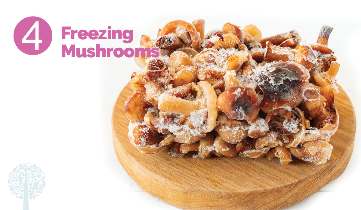 5 Cool Ways to Preserve Mushrooms | Garden Culture Magazine