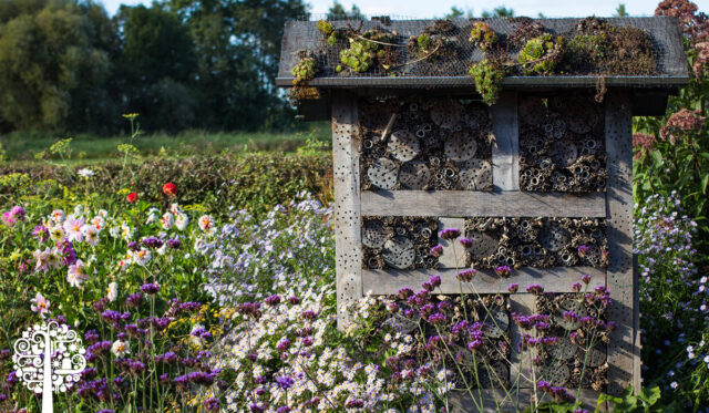 Insect Hotels: The Must-Have In All Gardens! | GCM